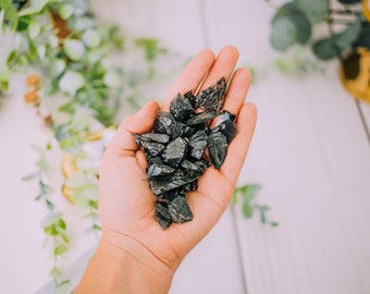 Bulk Corax Fossil Sharks Teeth Fossilized Corax Shark Teeth | Etsy