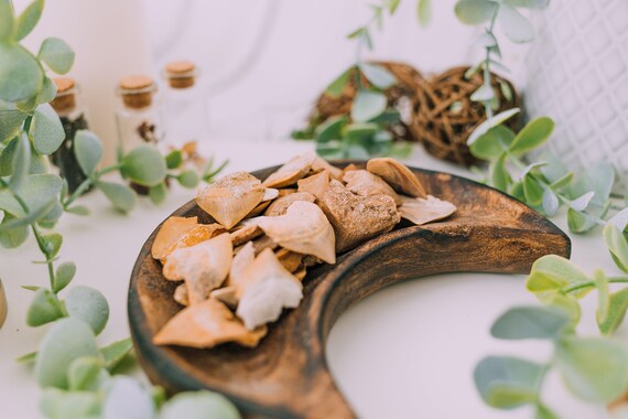 Bulk Corax Fossil Sharks Teeth Fossilized Corax Shark Teeth - Etsy New ...