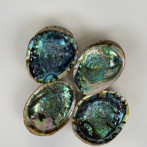 Abalone Shell for Smudging Incense and Decor - Etsy