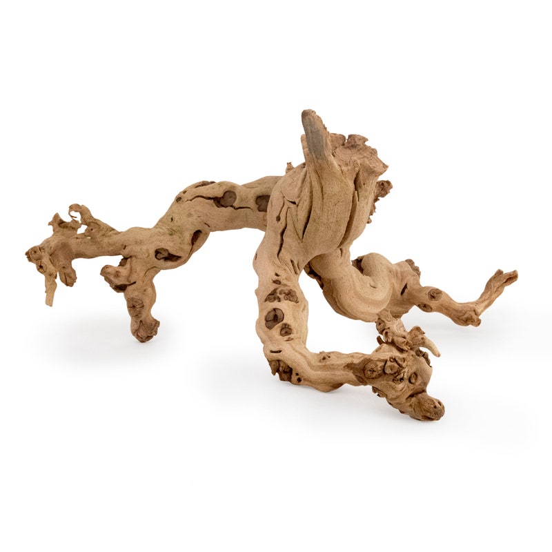 Large Driftwood - Etsy