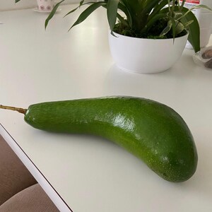 Russell Long Neck Avocado Fruit Tree - Etsy