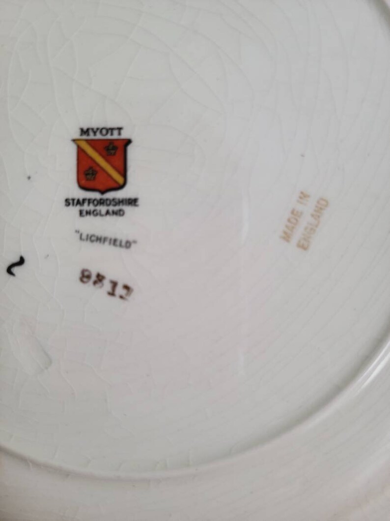 MYOTT Staffordshire Lichfield Dinner Plates - Etsy