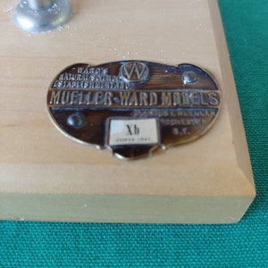 1941 Amphibian Development Plaster Model - Etsy