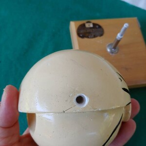 1941 Amphibian Development Plaster Model - Etsy