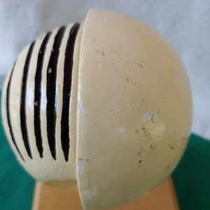 1941 Amphibian Development Plaster Model - Etsy