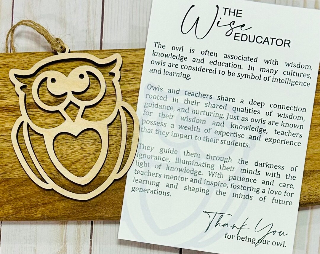 The Wise Educator Owl Ornament, Teacher Ornament, Educator Gift, Car ...