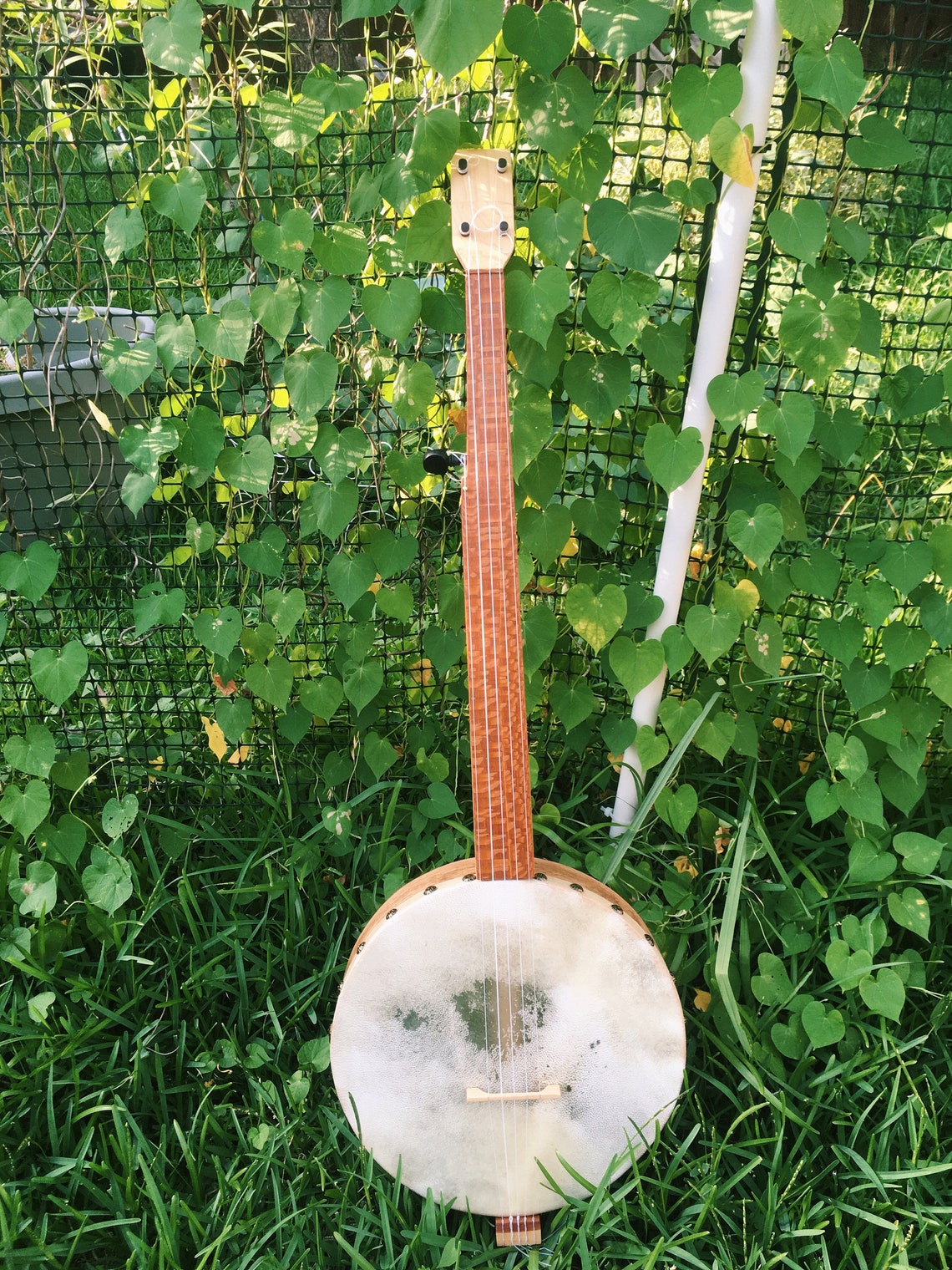 Fretless Banjo | Etsy