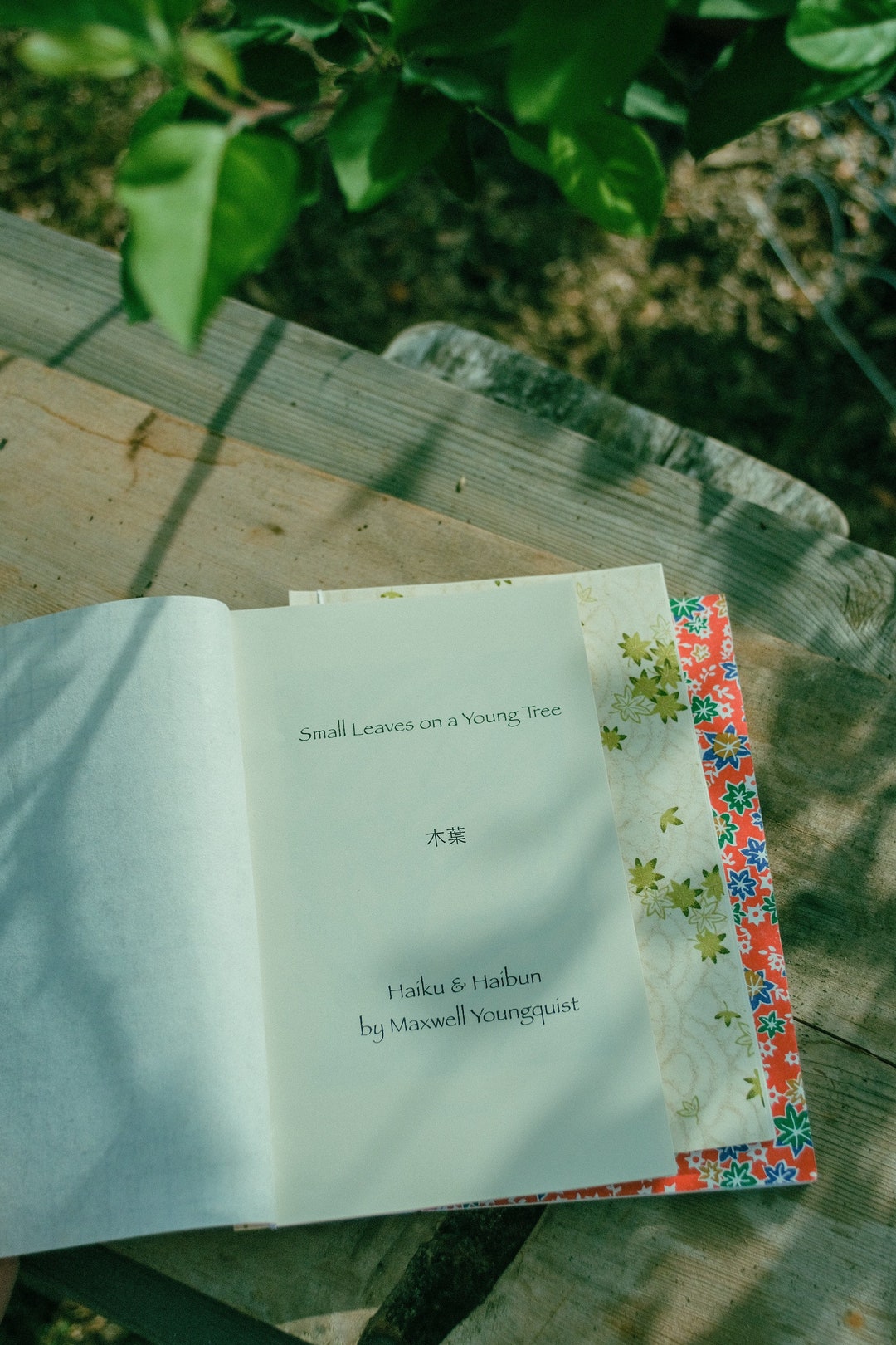 Small Leaves on a Young Tree, Haiku and Haibun by Maxwell Youngquist - Etsy