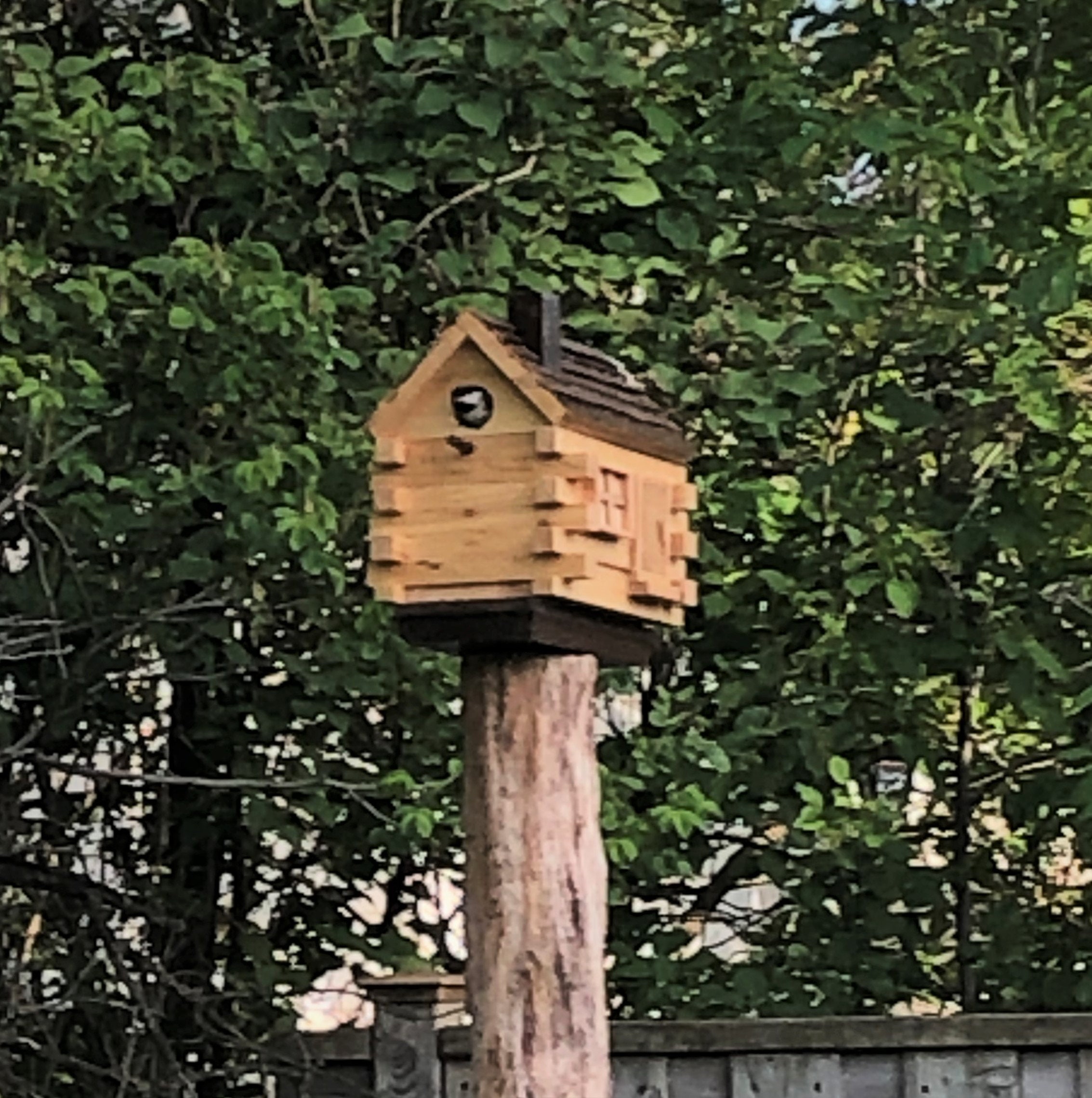 Rustic Log Cabin Bird House Handcrafted Solid Wood Bird | Etsy