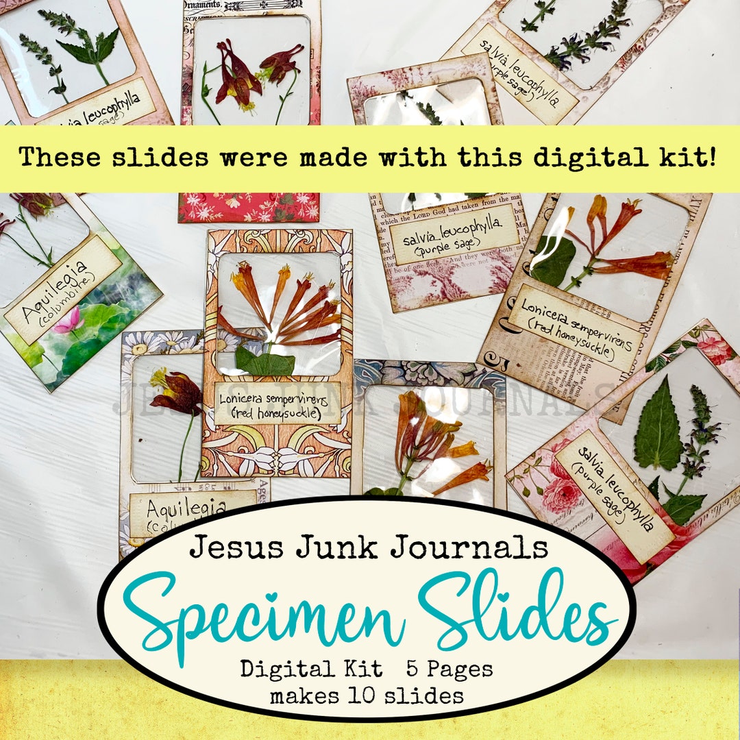 Specimen Slides Digital Kit, Jesusjunkjournals, Ephemera - Etsy