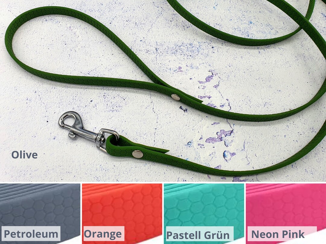 Hexa Webbing Dog Leash for Small Dogs and Puppies, 10mm, 1m 2m 3m ...