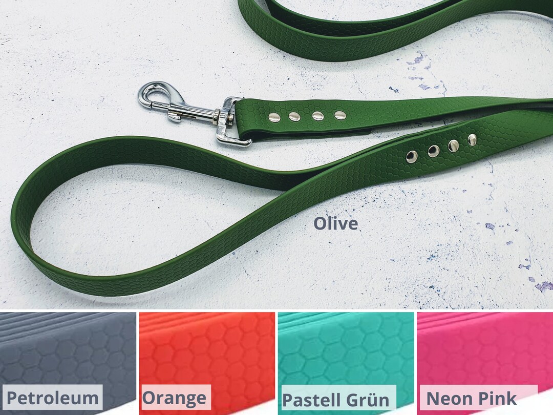 Dog Leash Made of Hexa Webbing for Medium to Large Dogs, 25 Mm, 1 M 2 M ...