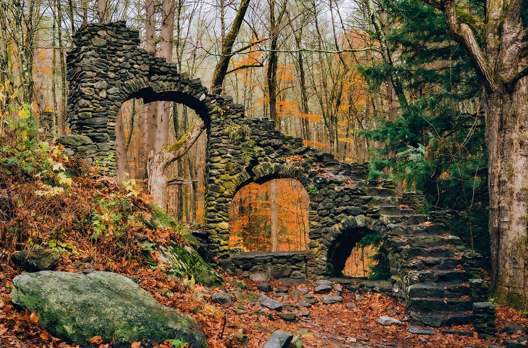 Madame Sherri House - Fall Leaves in the Forest - New Hampshire ...