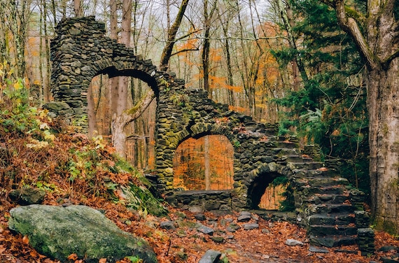 Madame Sherri House Fall Leaves in the Forest New | Etsy