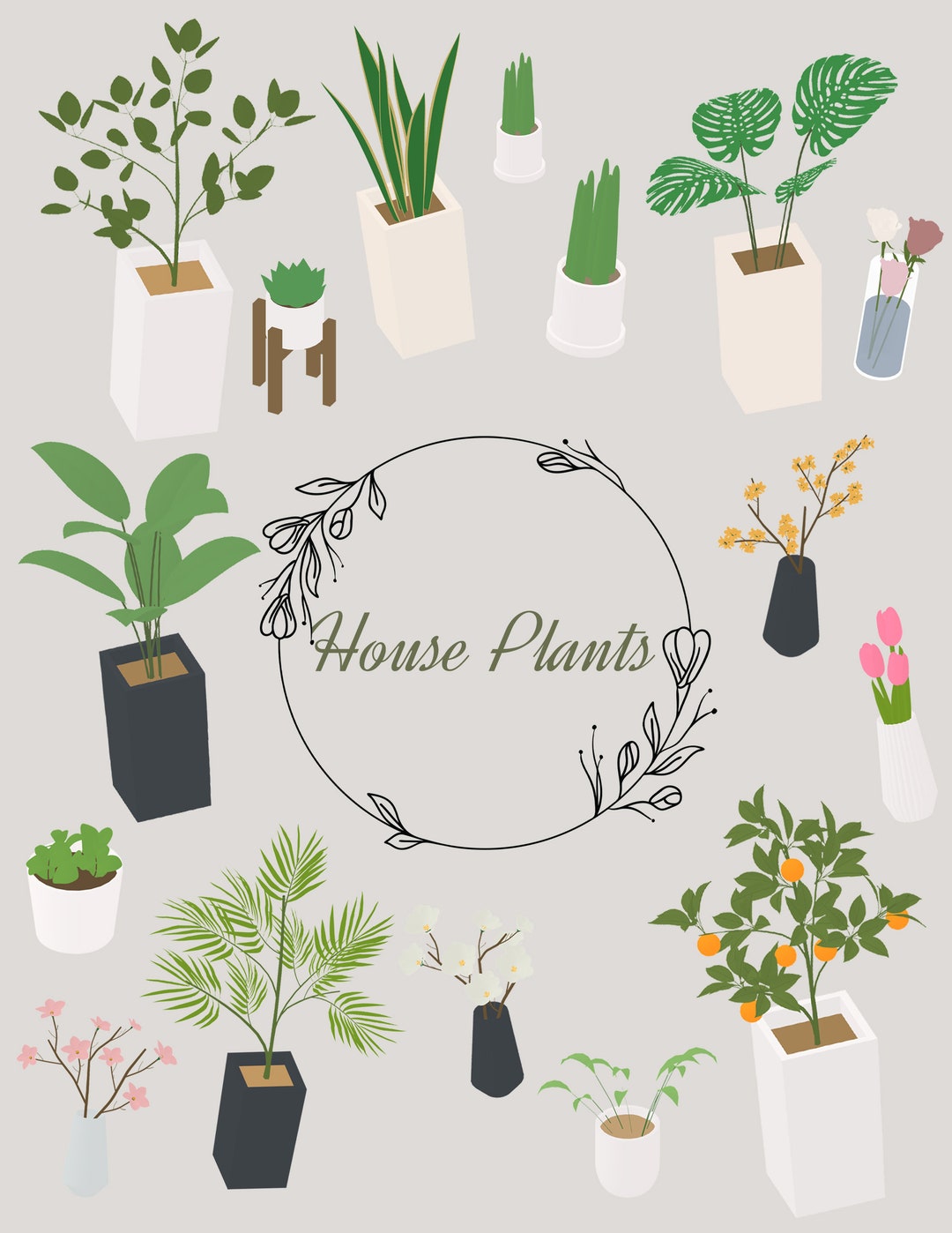 16 House Plants Clip Art, Gardening Download, Palm Tree Illustration ...