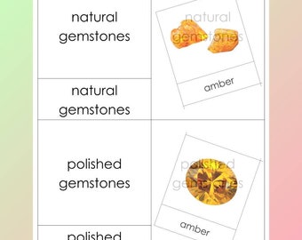 Montessori 3 Part Cards Parts of a Peacock - Etsy