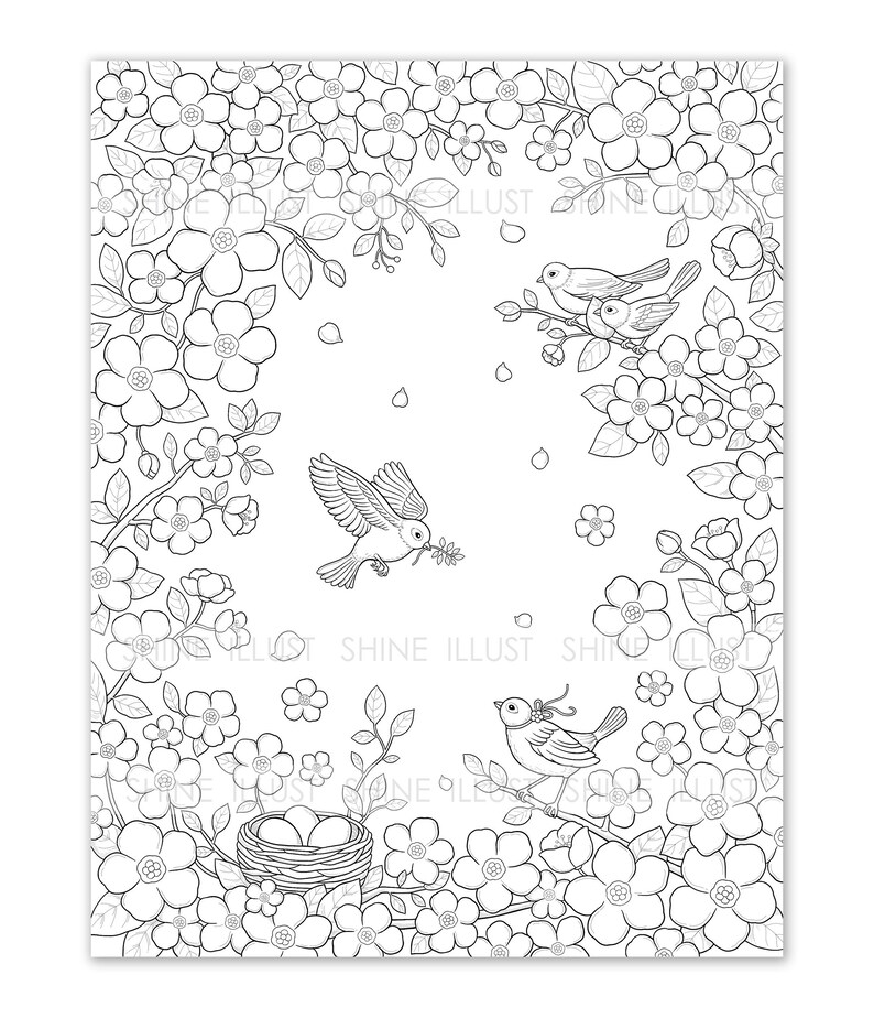 Printable Coloring, Flower, Bird Coloring, Spring Flower, Coloring ...