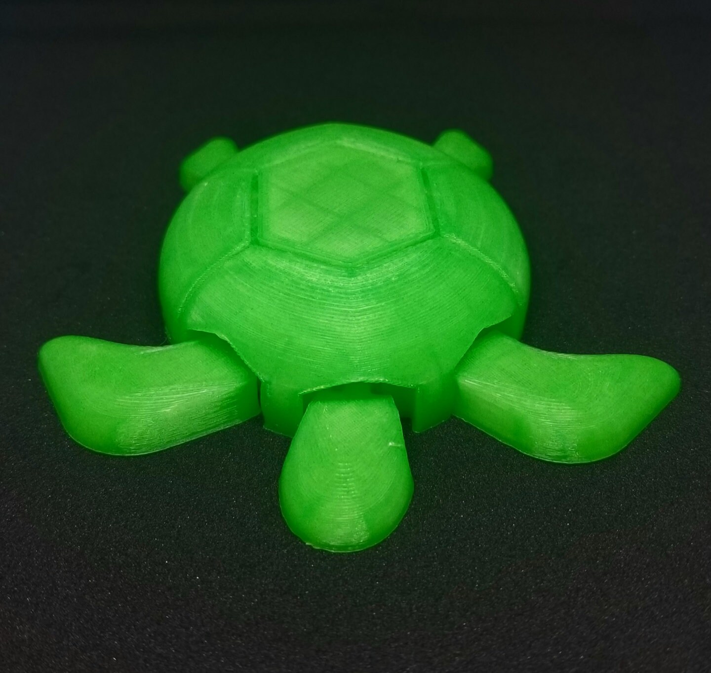 3D Printed Articulated Turtle - Etsy