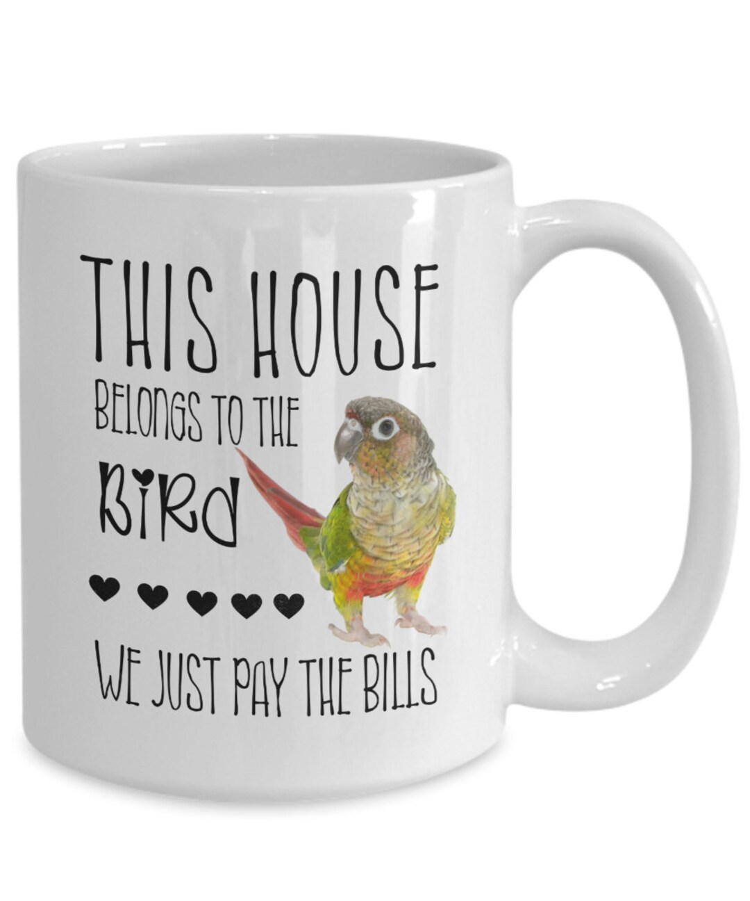Pineapple Green Cheek Conure Mug, Pineapple Conure Gifts, Pineapple ...