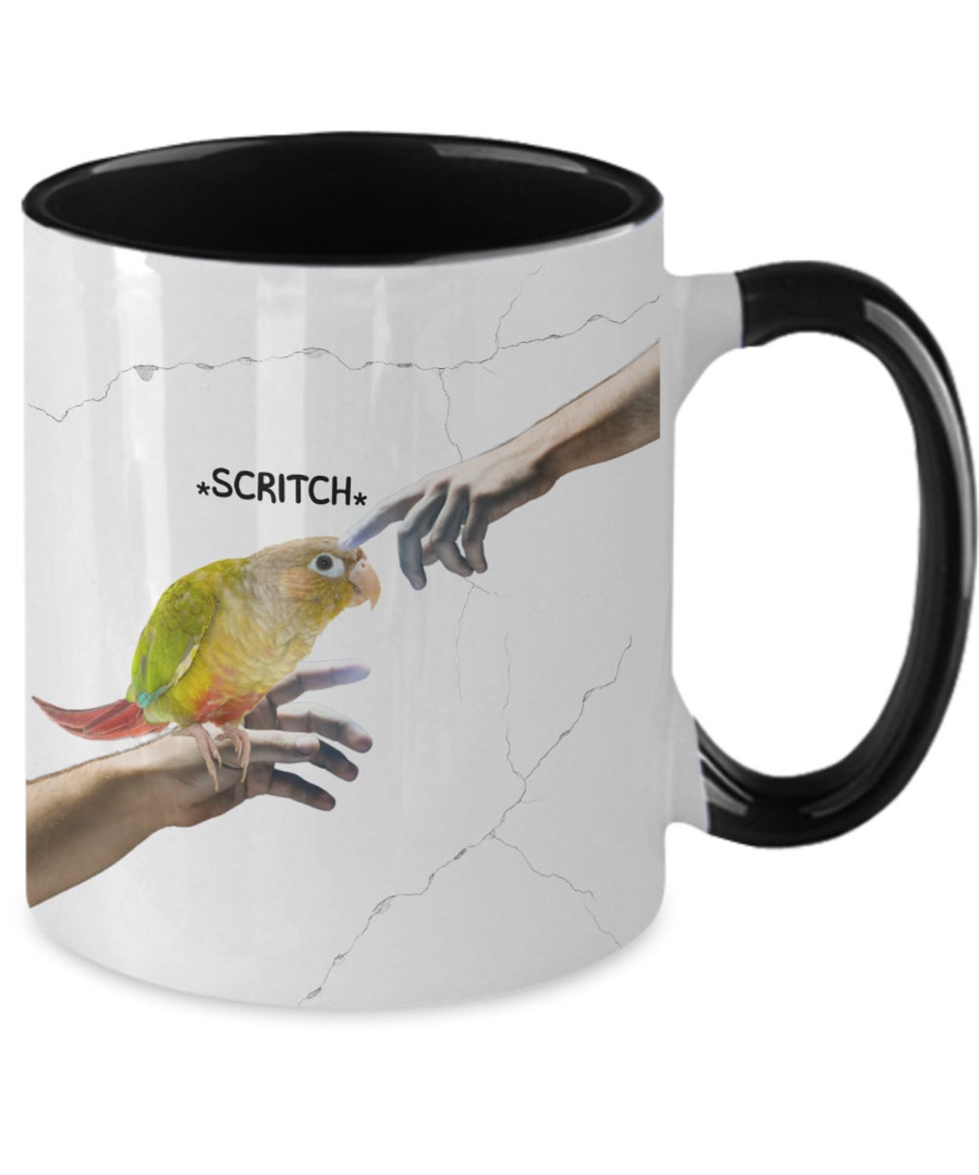 The Creation of Adam Pineapple Green Cheek Conure Mug, Conure Gifts ...