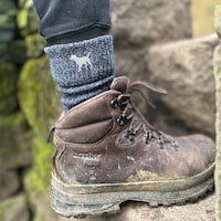 Border Terrier - Etsy