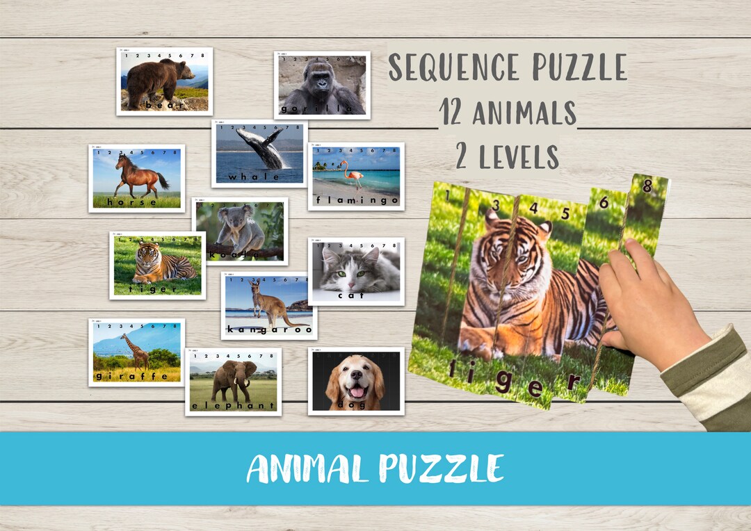 Animal Sequencing - Etsy