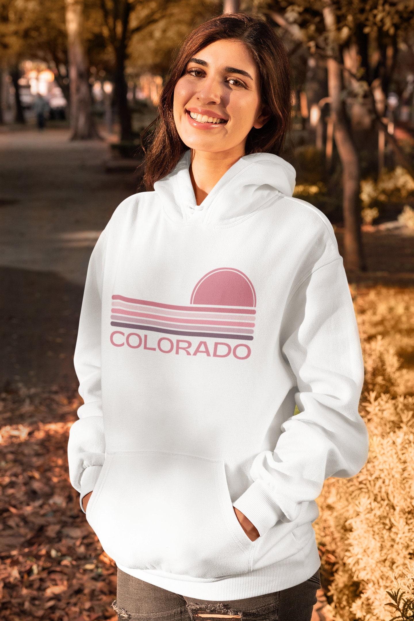 Colorado Hoodie Mountain Retro Hoodie Gift Denver Colorado | Etsy