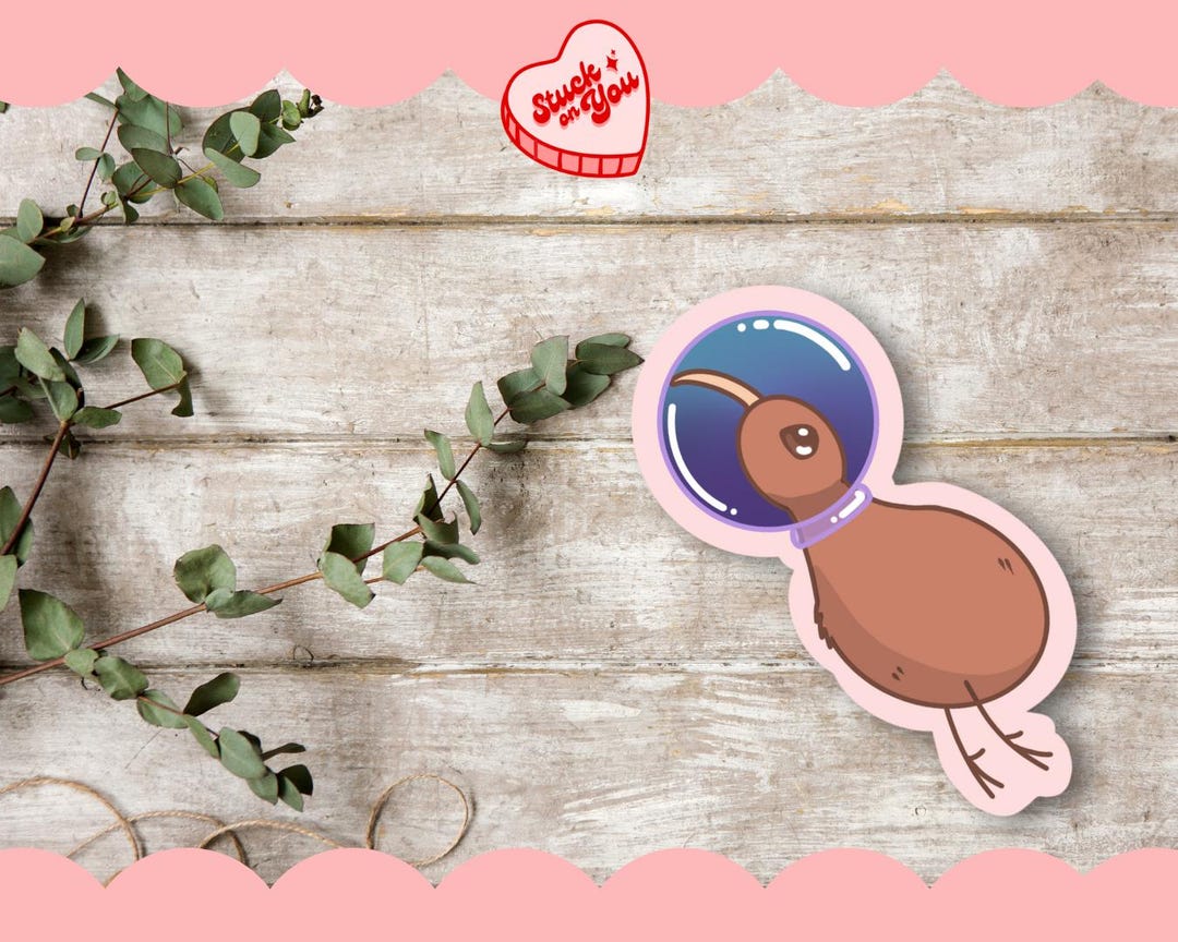 Space Kiwi Bird Cut Vinyl Sticker | Teacher, Aesthetic Sticker ...