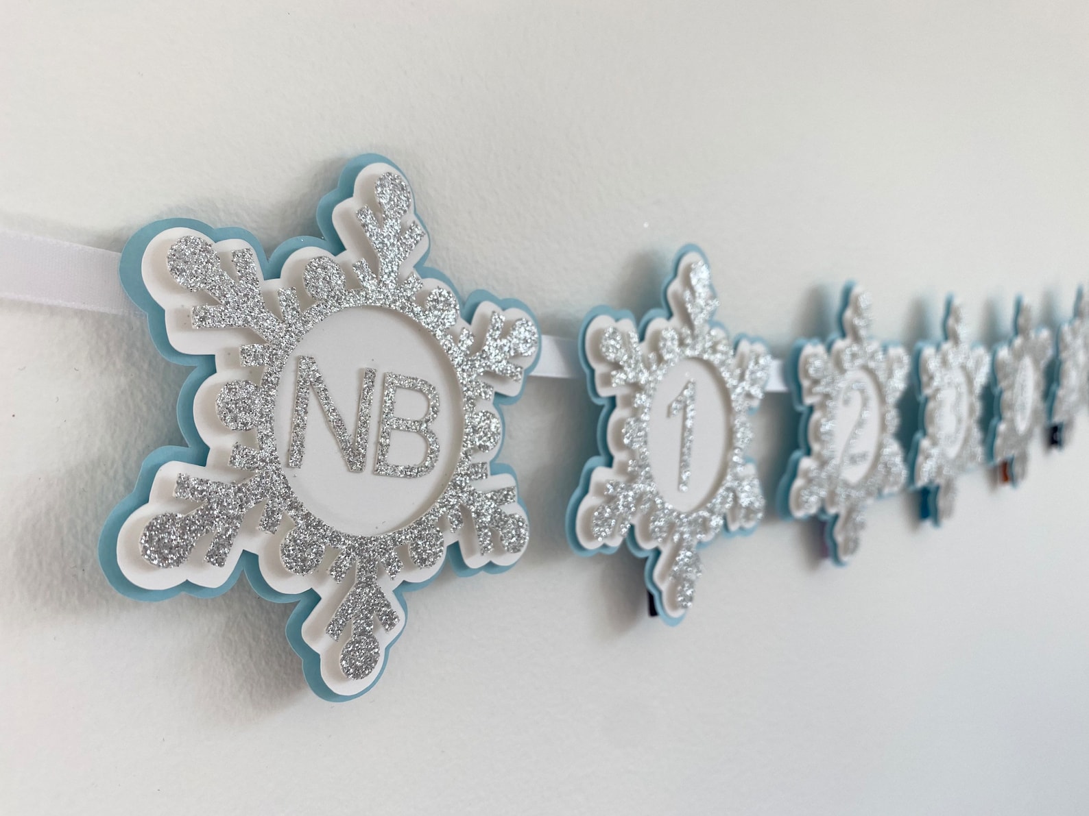 Winter Wonderland Monthly Photo Banner Only Winter Wonderland - Etsy