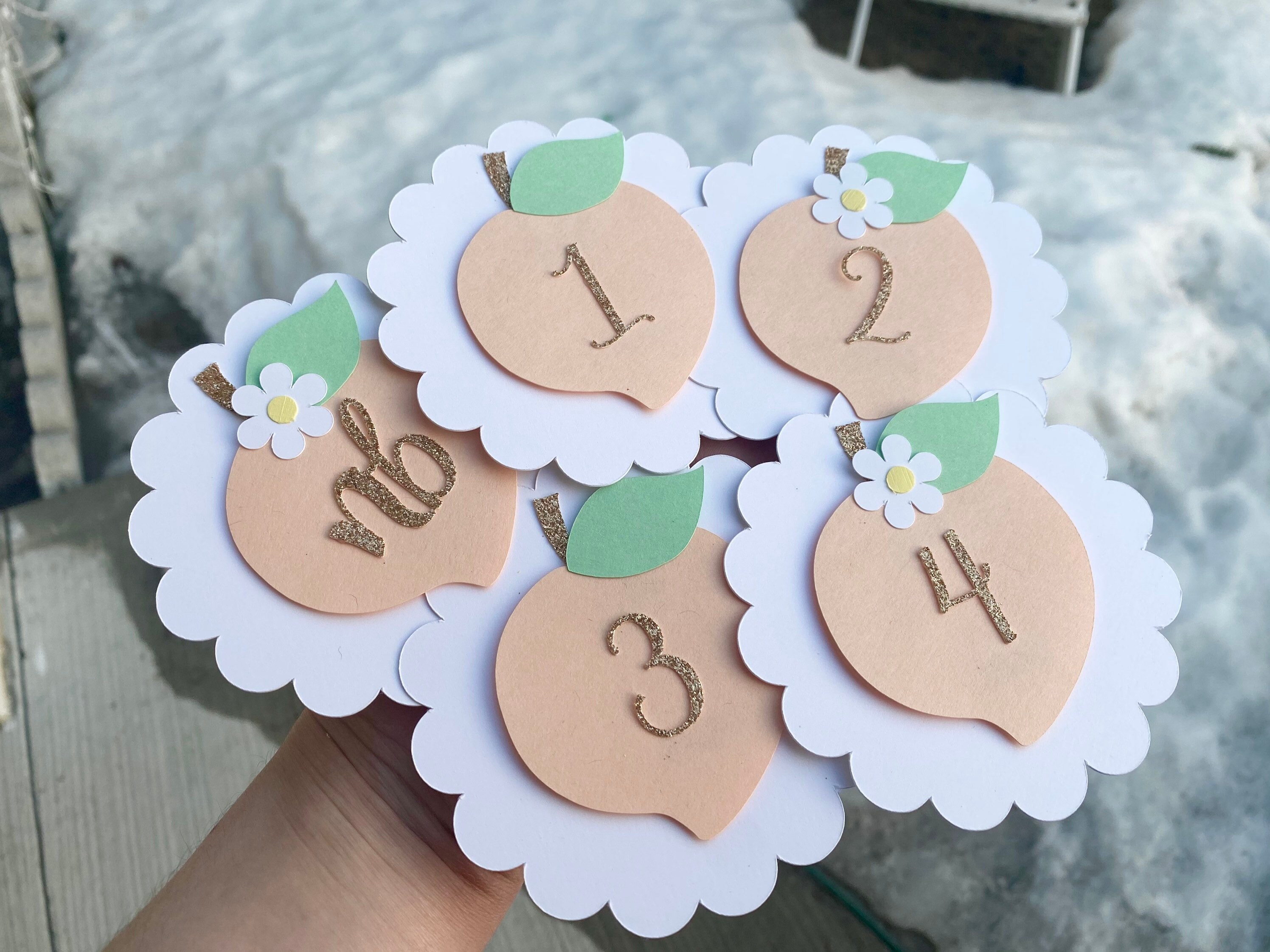 Peach Monthly Banner Peach Photo Banner Peach Picture - Etsy