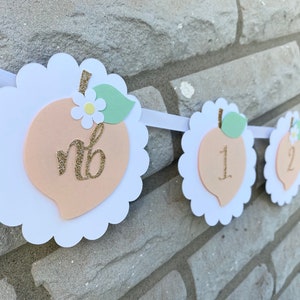 Peach Monthly Banner, Peach Photo Banner, Peach Picture Banner, Sweet ...