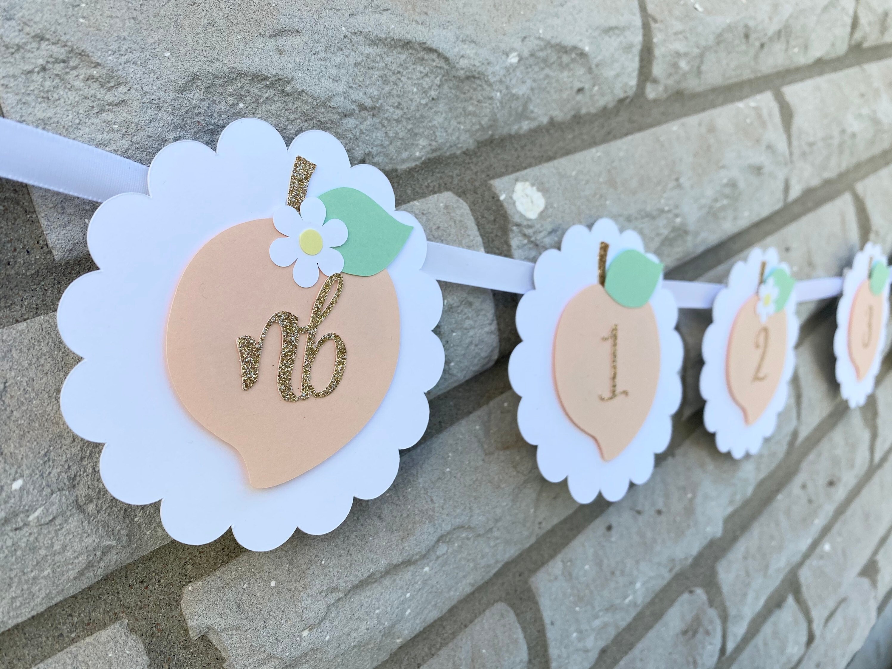 Peach Monthly Banner Peach Photo Banner Peach Picture - Etsy