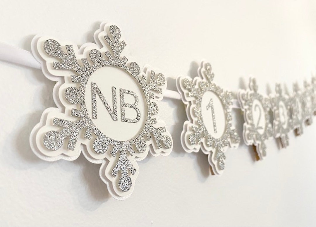 Winter Wonderland Monthly Photo Banner Only, Winter Wonderland ...