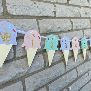 Ice Cream Monthly Picture Display Banner, Sweet One First Birthday ...