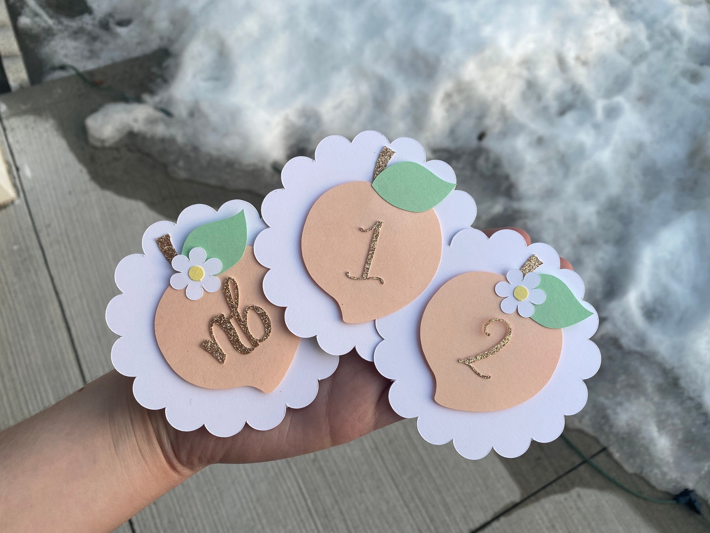 Peach Monthly Banner Peach Photo Banner Peach Picture - Etsy