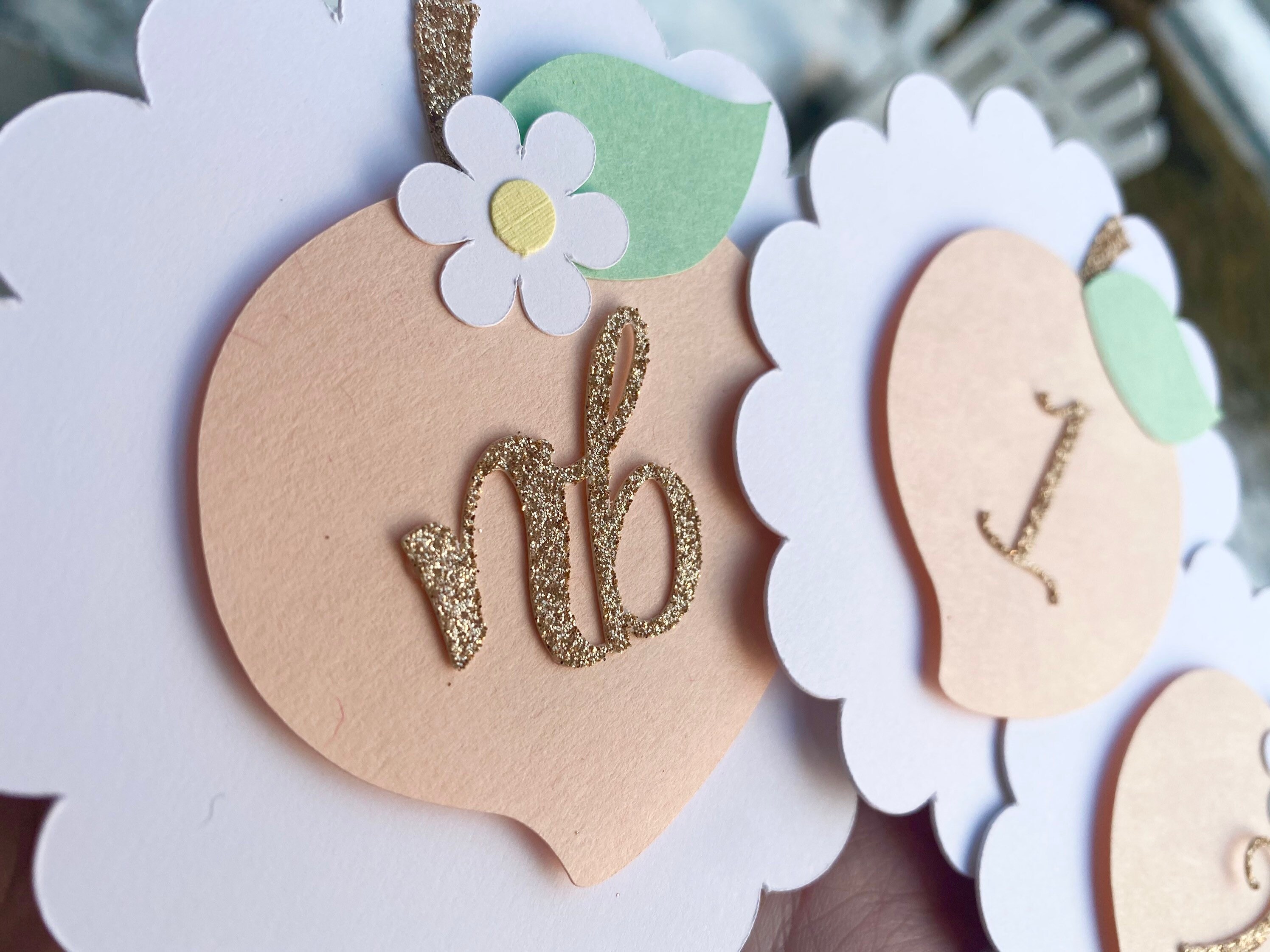 Peach Monthly Banner Peach Photo Banner Peach Picture - Etsy