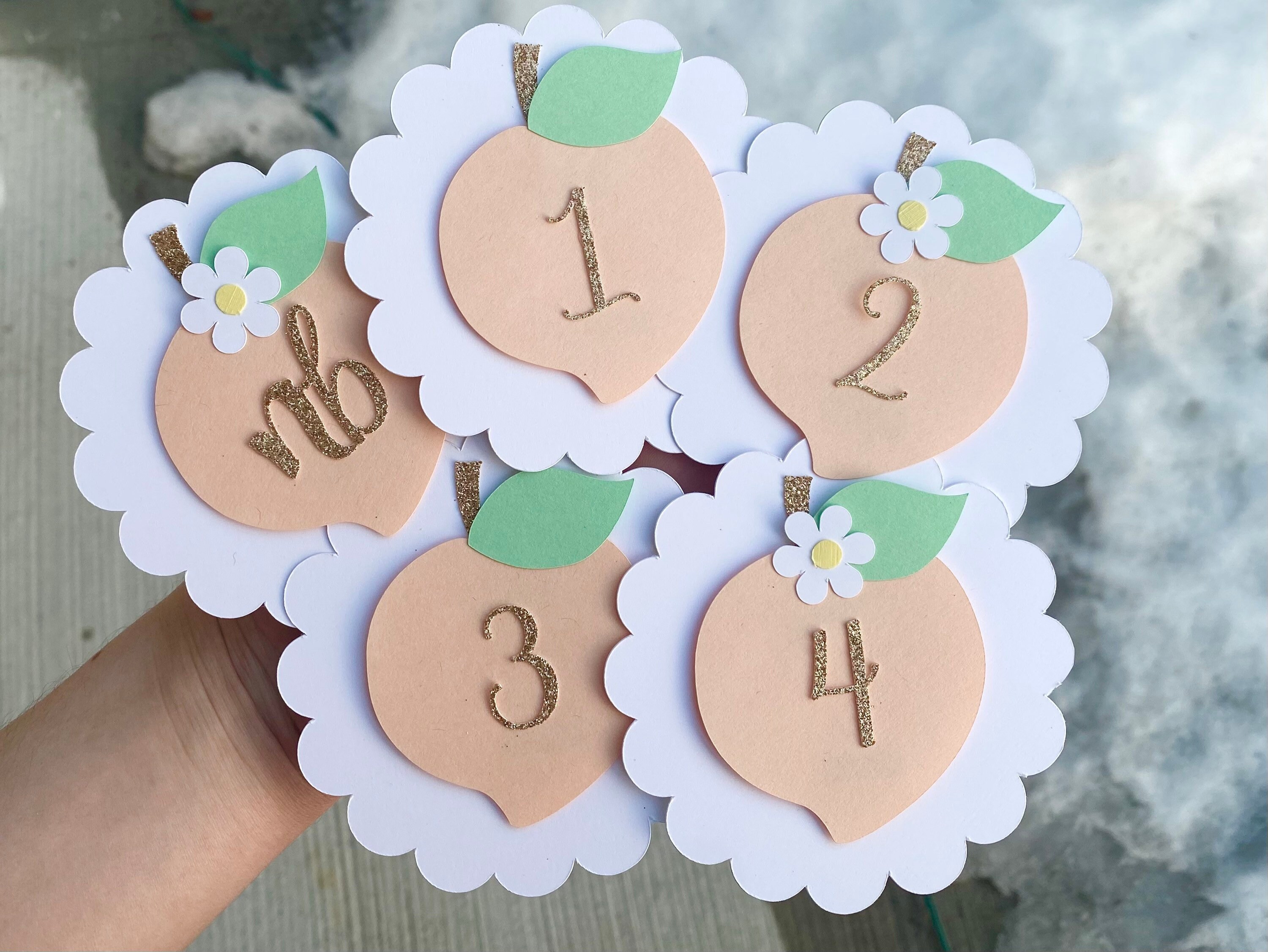 Peach Monthly Banner Peach Photo Banner Peach Picture - Etsy