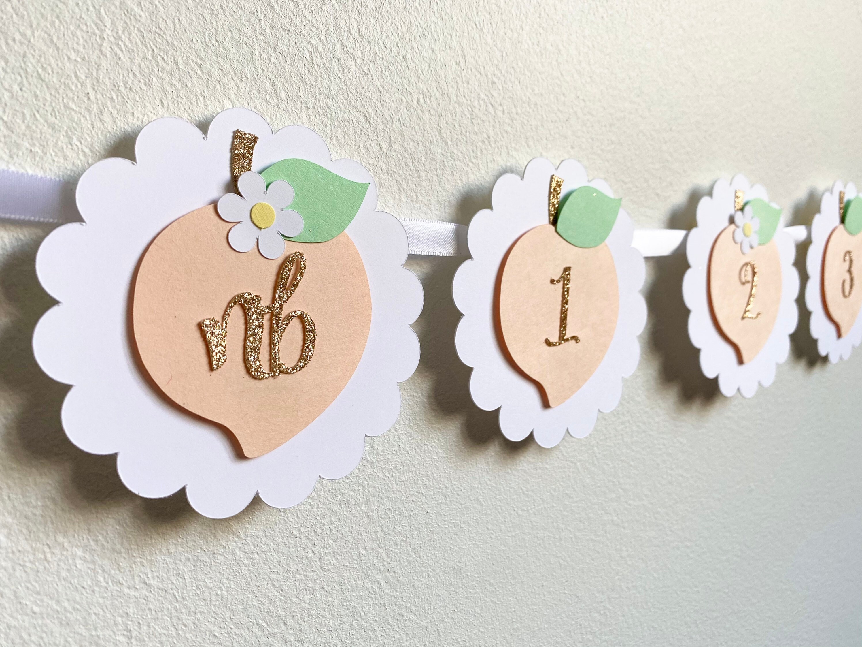 Peach Monthly Banner Peach Photo Banner Peach Picture - Etsy