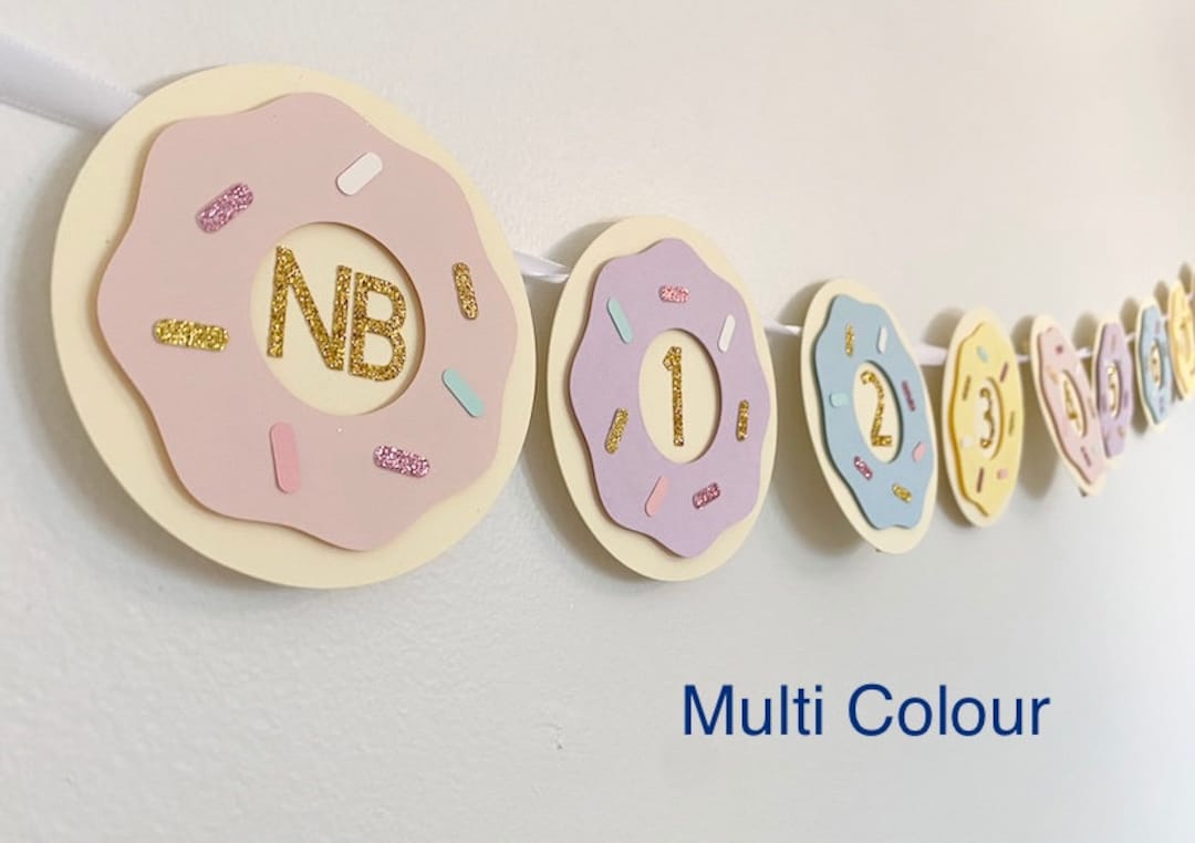 Donut Monthly Picture Display Banner, Donut Grow up First Birthday ...