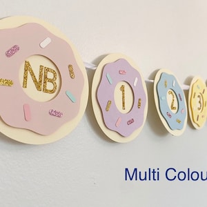 Donut Monthly Picture Display Banner, Donut Grow up First Birthday ...