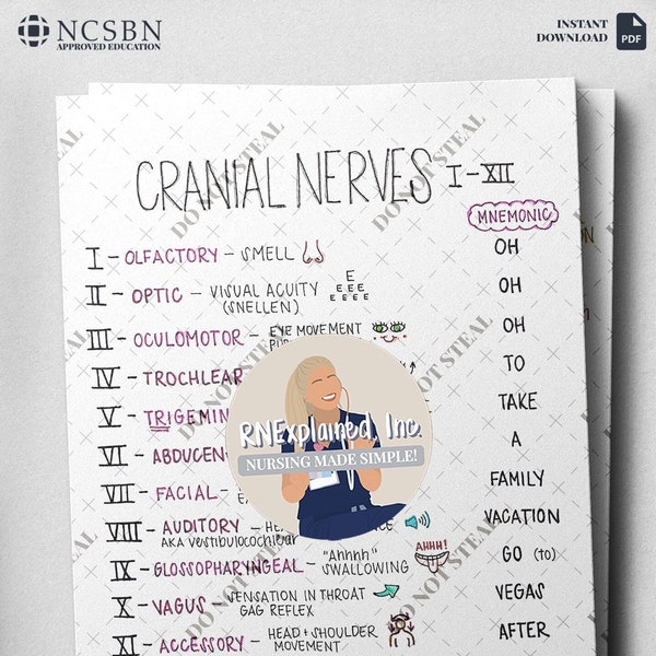 Cranial Nerves - Etsy