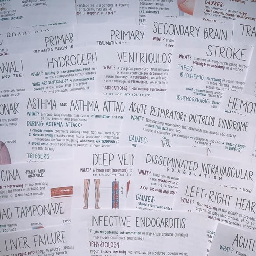 Sepsis Shock and Mods Nursing Critical Care Notes 12 Pages - Etsy