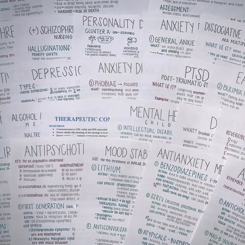 Psychiatric Mental Health Nursing Study Guide Nursing Notes | Etsy