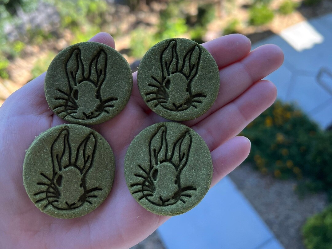 Cilantro Cookies | 100% Organic and Healthy Treats for Rabbits, Guinea ...