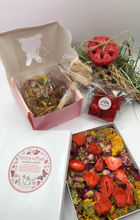 Bunny Birthday/gotcha Day Bundle Rabbit Birthday Bunny | Etsy