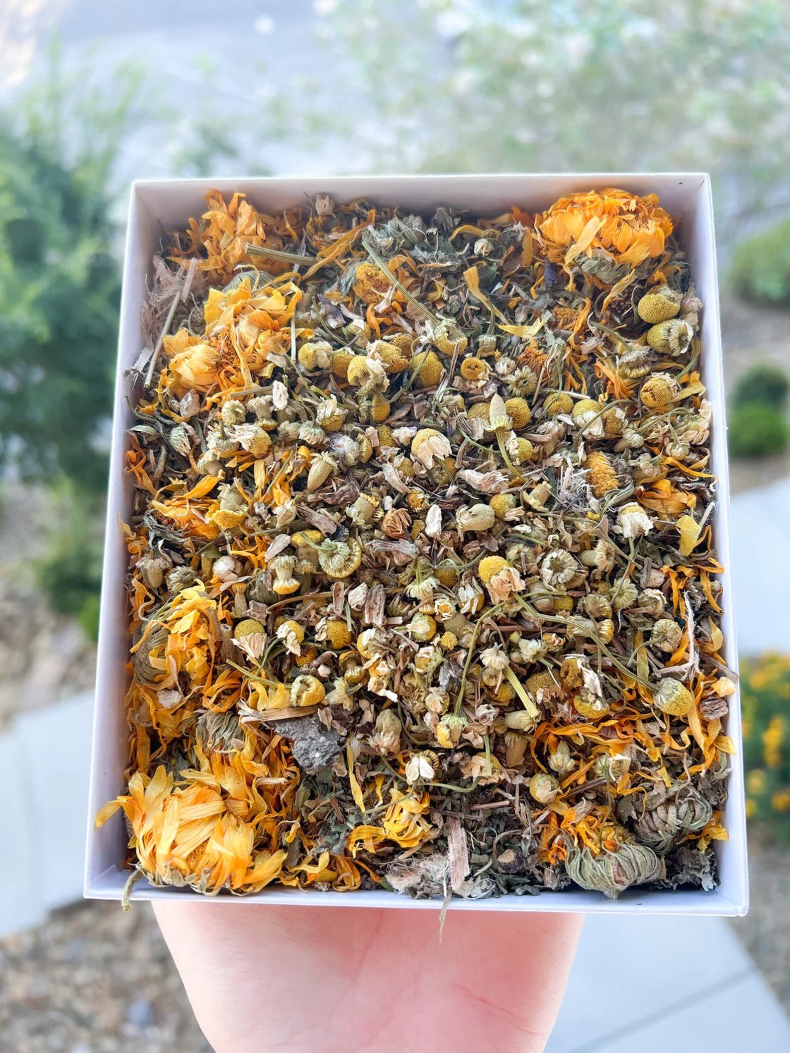 Organic Rabbit Forage Mix | Happy Tummy Digestive Blend - Etsy