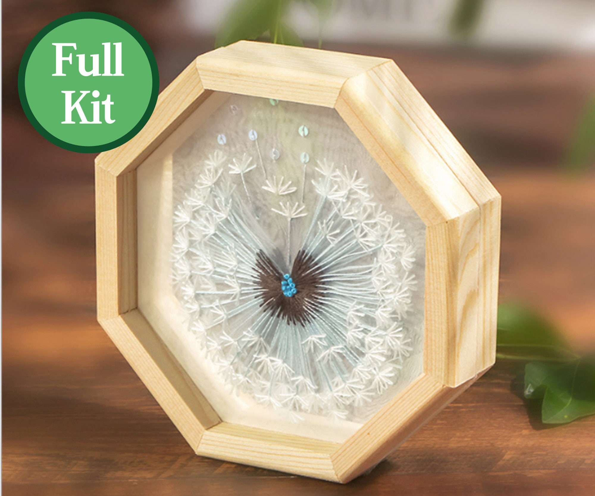 Transparent Embroideryembroidery for Beginner Modern - Etsy