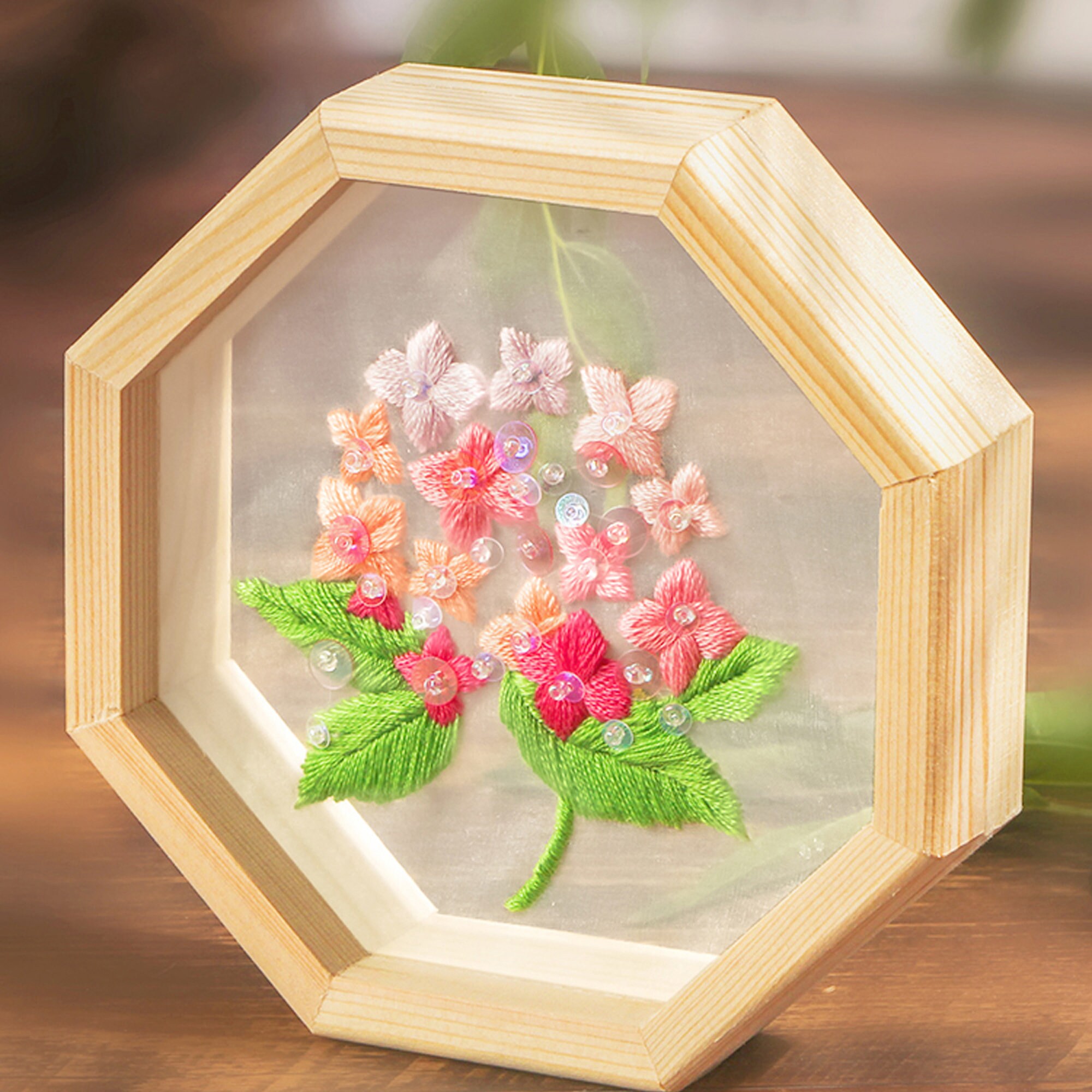 Transparent Embroidery，embroidery for Beginner, Modern Embroidery Kit ...