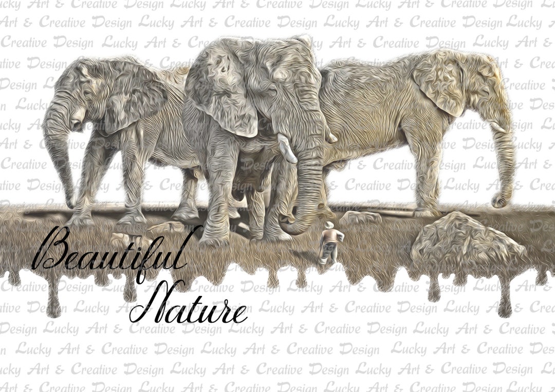 Elefante, Hermosa Naturaleza, Elefante, JPEG, PNG, Archivos Digitales ...