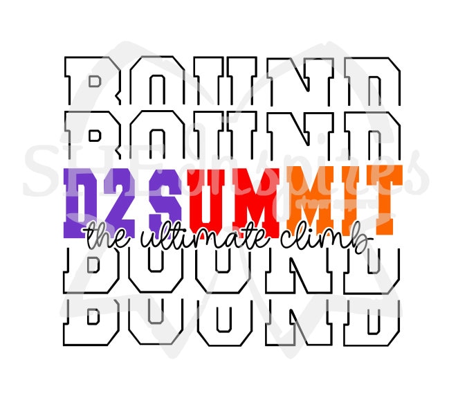 D2 Summit CUSTOM DESIGNS Are NOT Currently Available Cheerleading Cheer ...